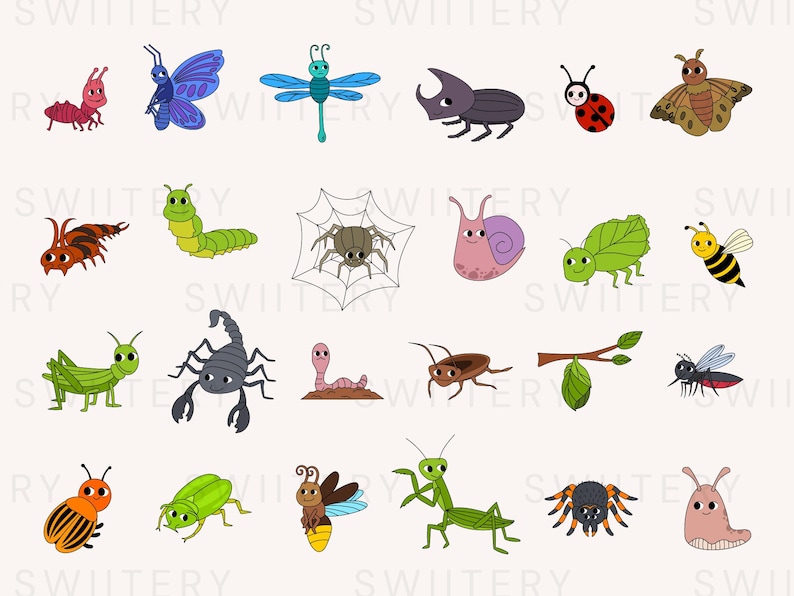 Bug and Insect Clipart Set PNG, Animal Illustration | Digital Instant ...