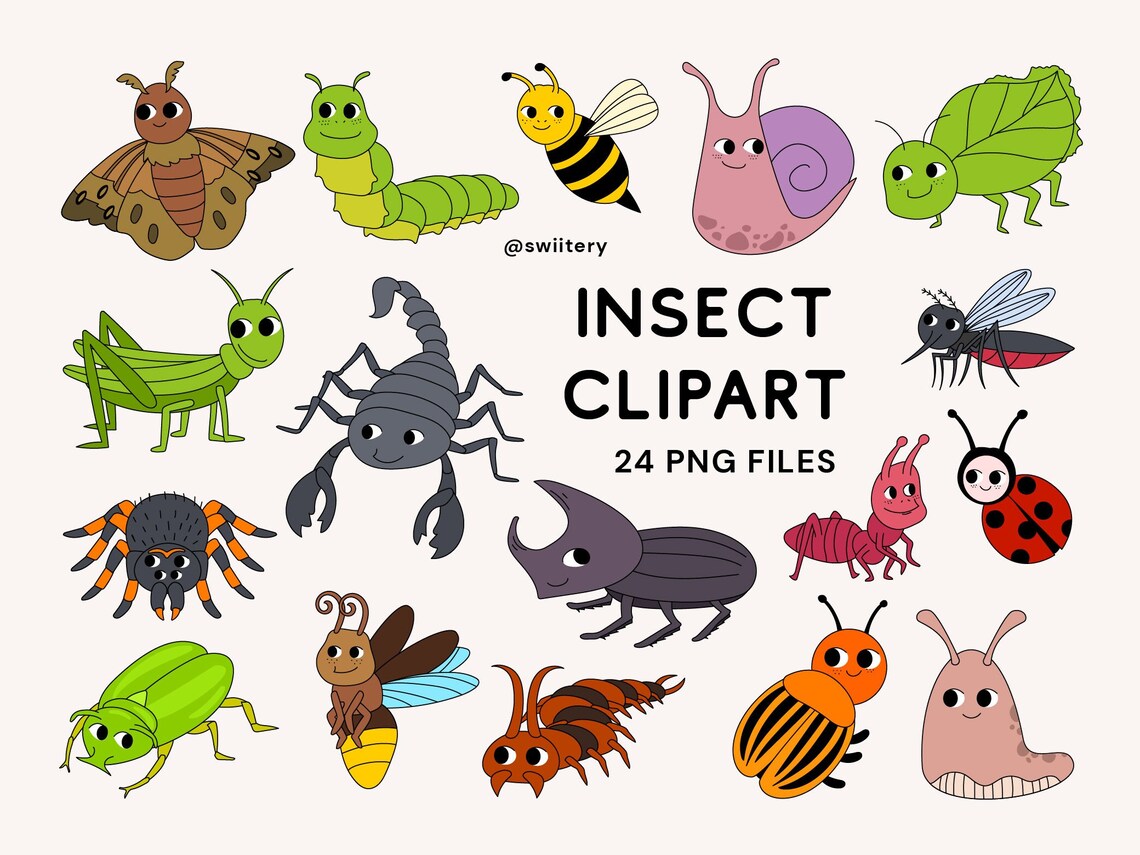 Bug and Insect Clipart Set PNG, Animal Illustration Digital Instant ...