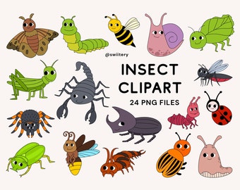 Bug & Insect Clipart Set PNG Animal Illustration Digital - Etsy