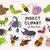 Bug & Insect Clipart Set PNG, Animal Illustration | Digital Instant ...