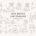Dog Breeds Line Drawing Clipart PNG SVG | Minimal Line Art Illustration ...