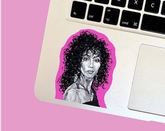 Vinyl Cher Sticker - Etsy