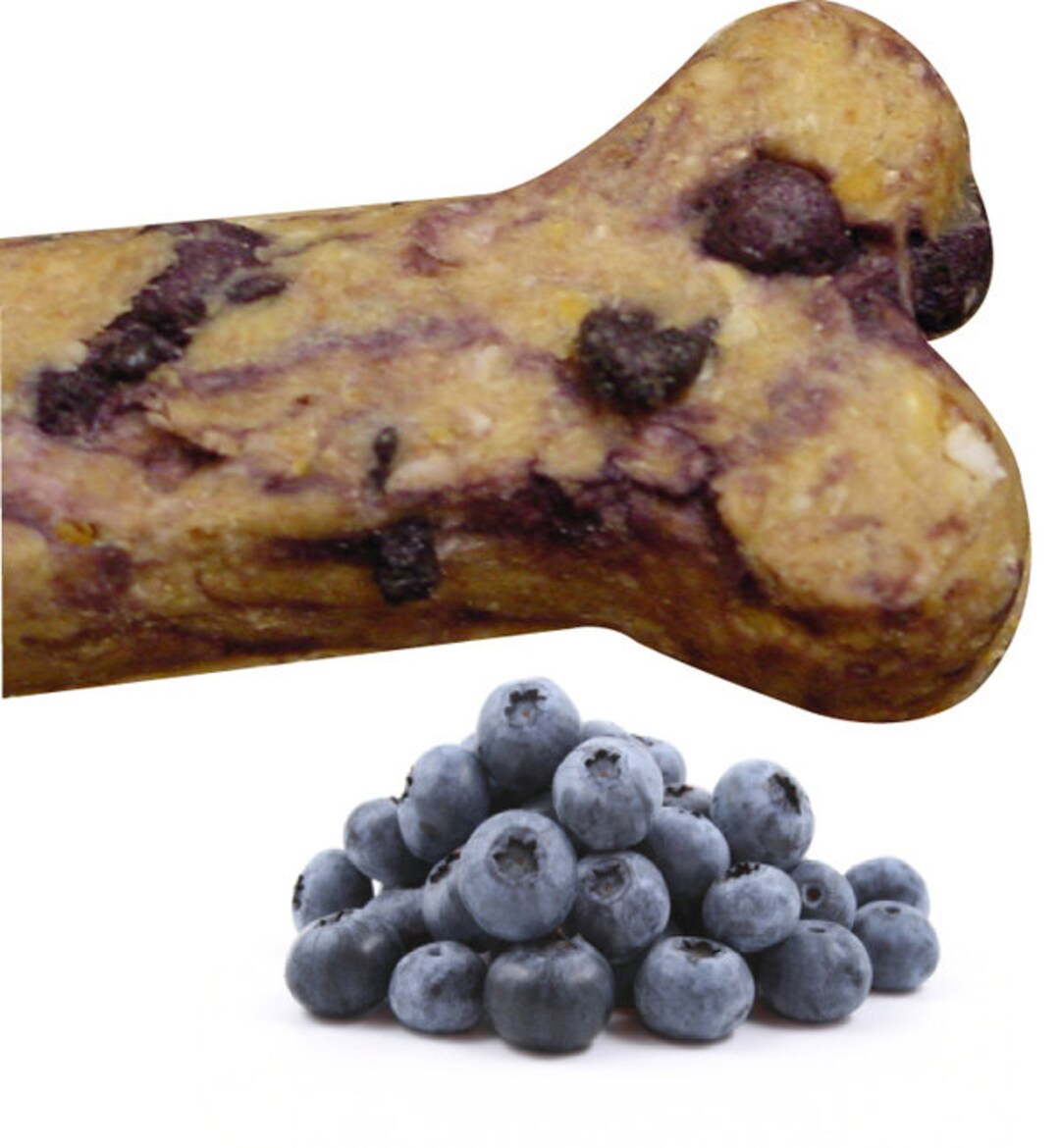 Blueberry Gourmet Dog Treats - Etsy