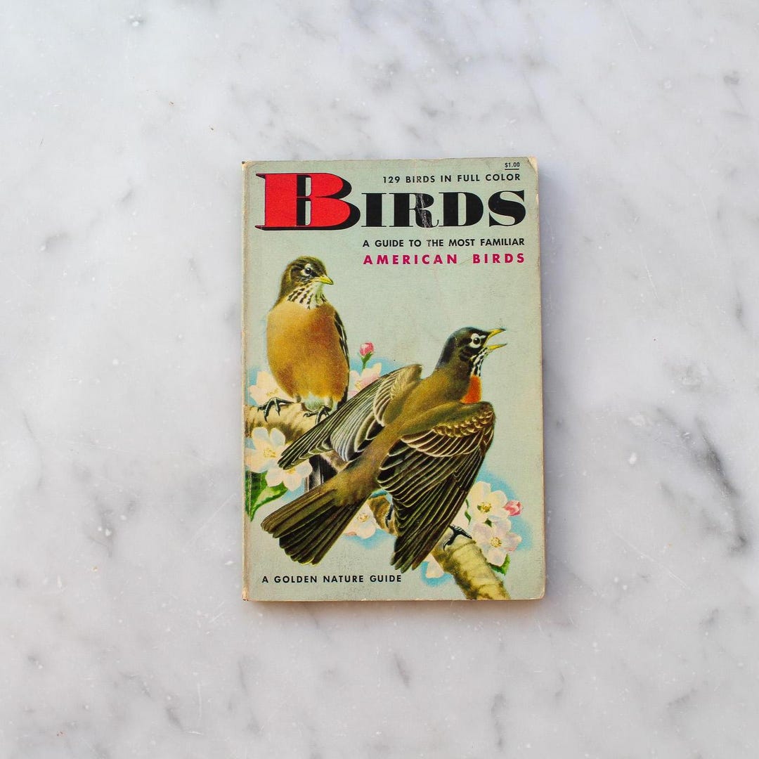 Vintage Book: "birds — A Guide to the Most Familiar American Birds" by ...