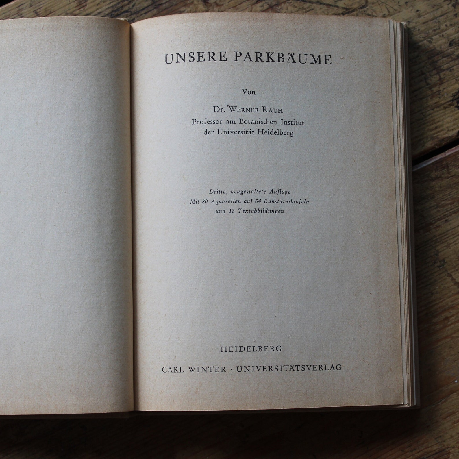 Vintage German 50s Botanical Illustrated Book Winters ...