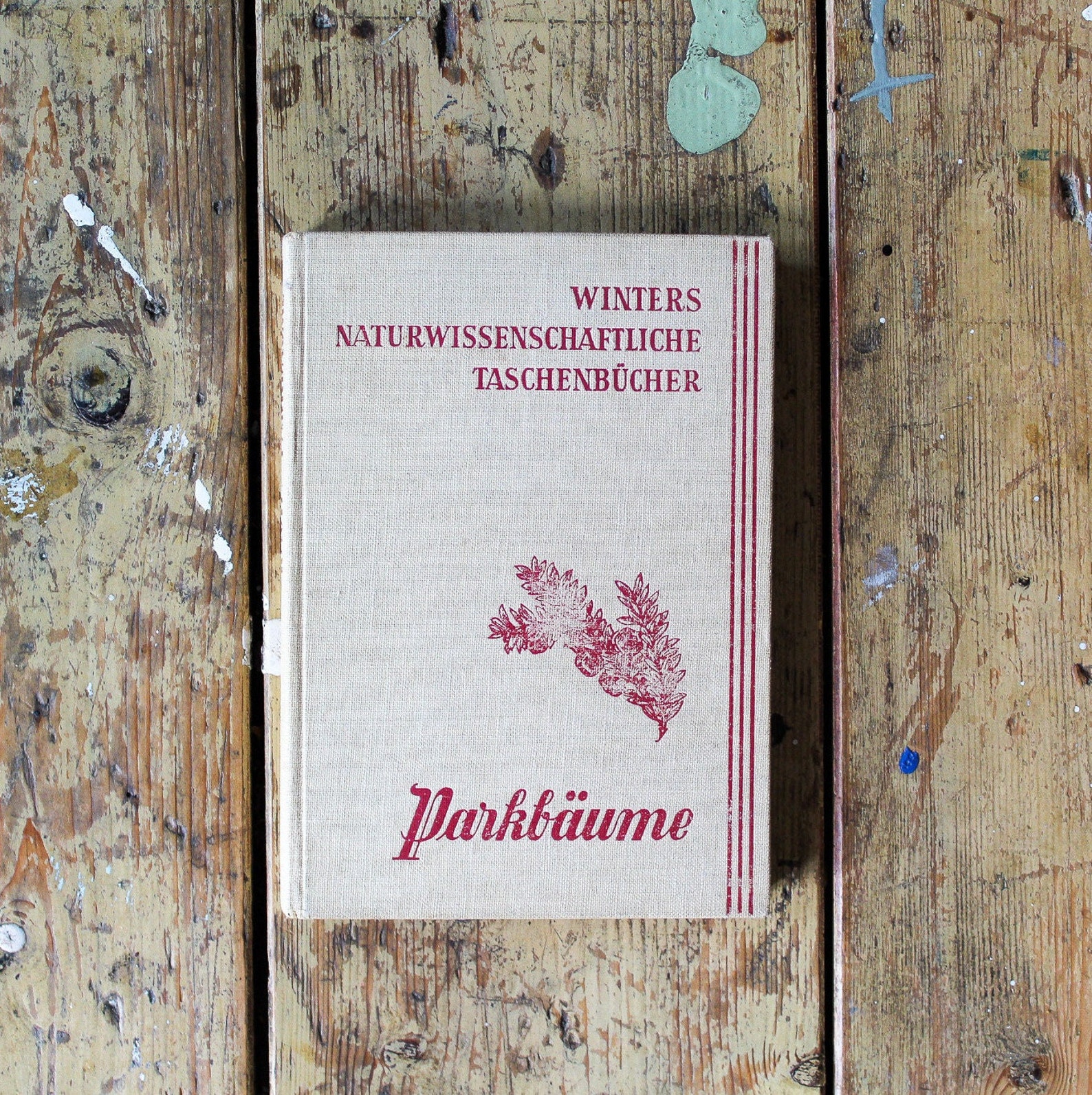 Vintage German 50s Botanical Illustrated Book Winters ...