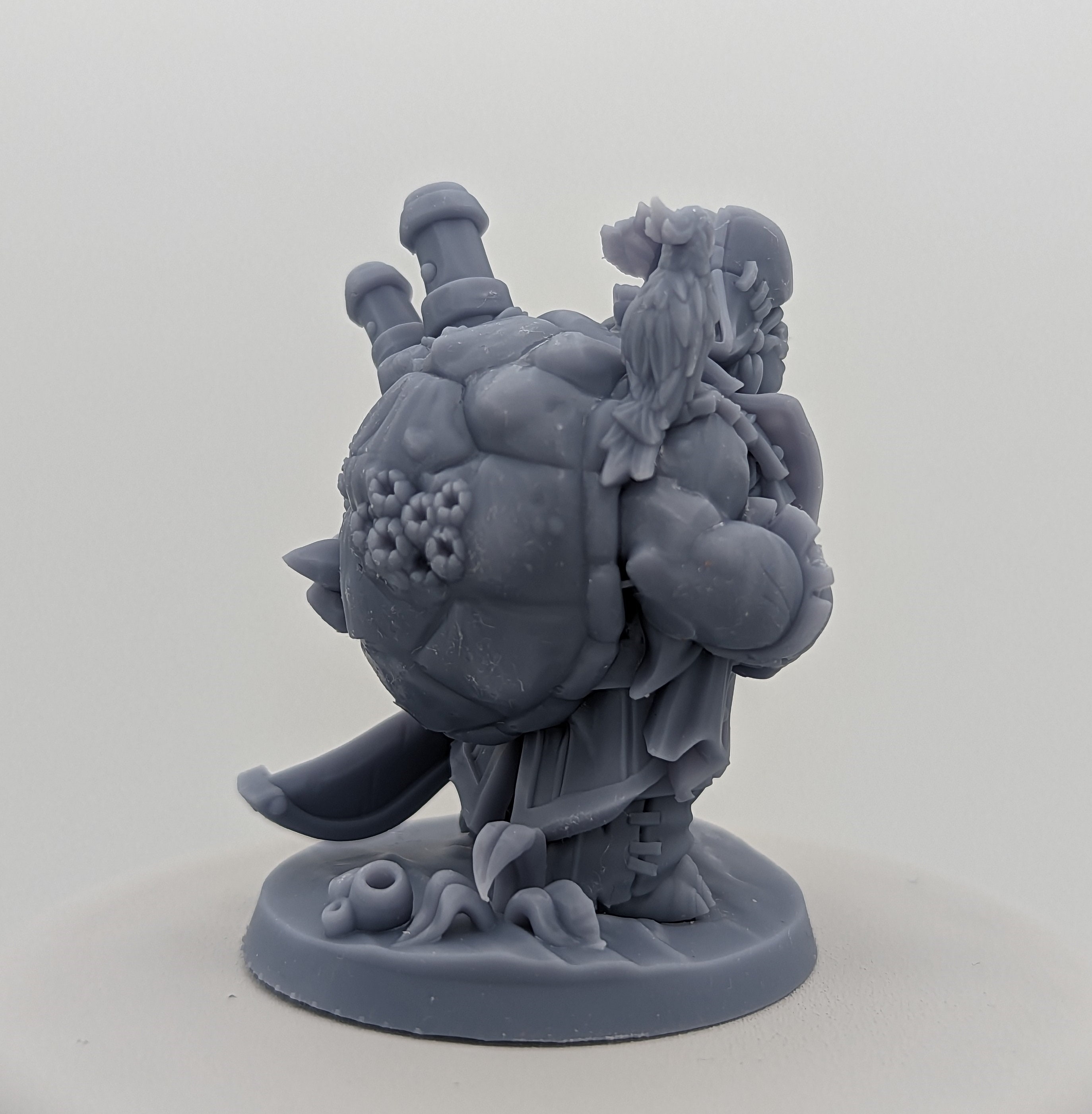 Hardshell Turtleman Pirate - Etsy