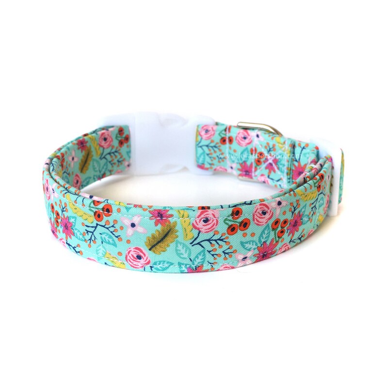 Spring Dog Collar - Etsy
