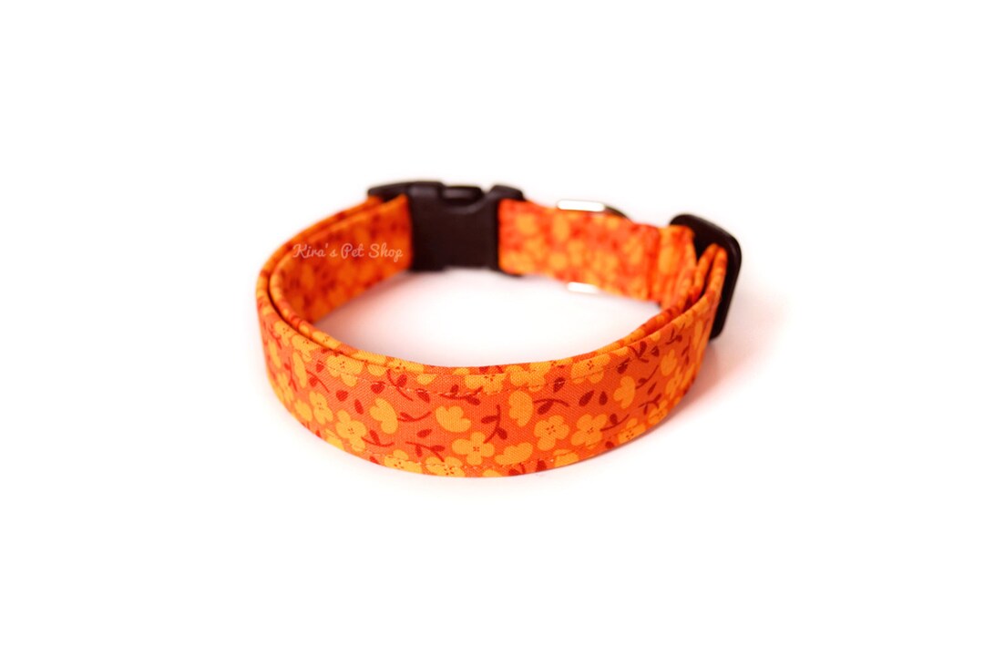 Orange Floral Dog Collar Designer Dog Collar Orange Dog - Etsy