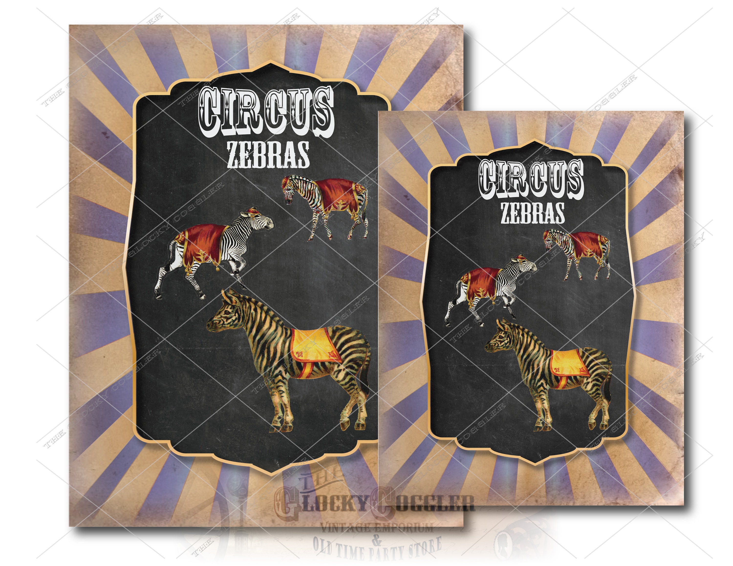 Circus Animal Abuse Zebra