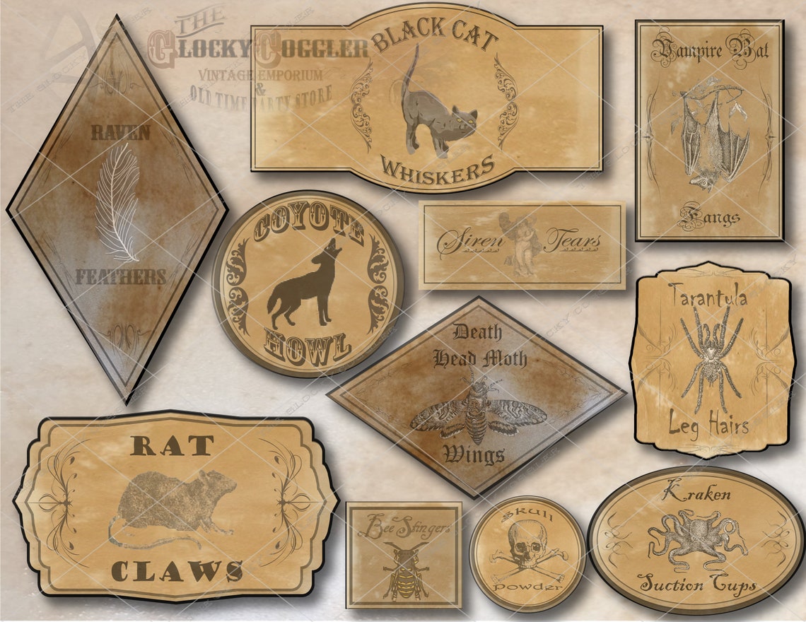 11 Potion Bottle Labels Halloween Apothecary Jar Printable - Etsy