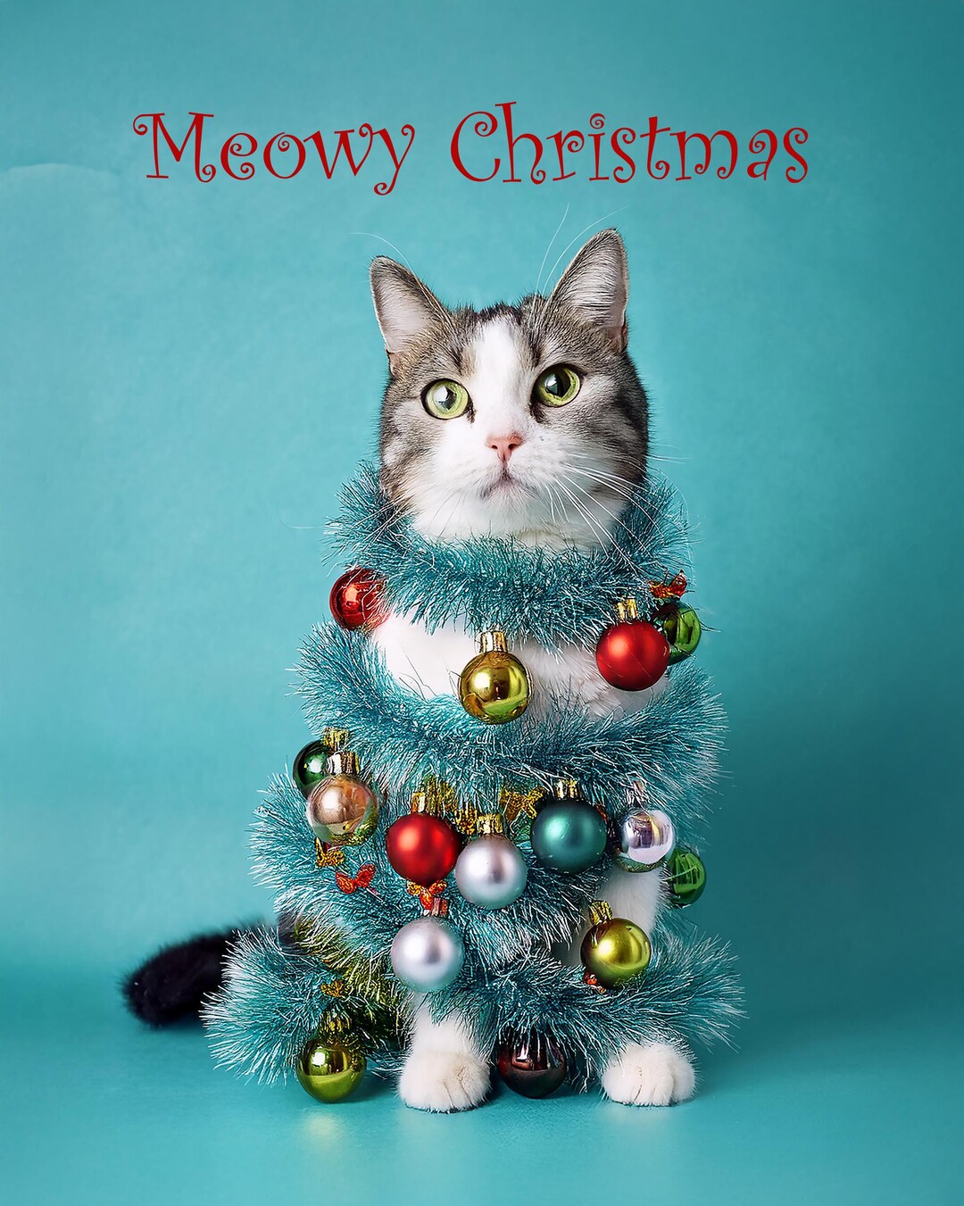 Meowy Christmas - Etsy