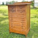 Antique Cartographer Cabinet, Twelve Drawer Cabinet, Chest of Drawers ...