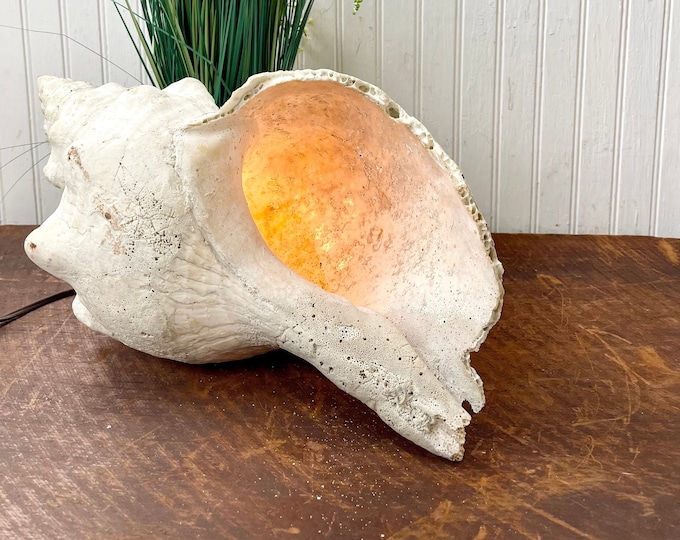 Large Sea Shell, Giant Conch Seashell, Shell Nightlight, Beach Decor ...