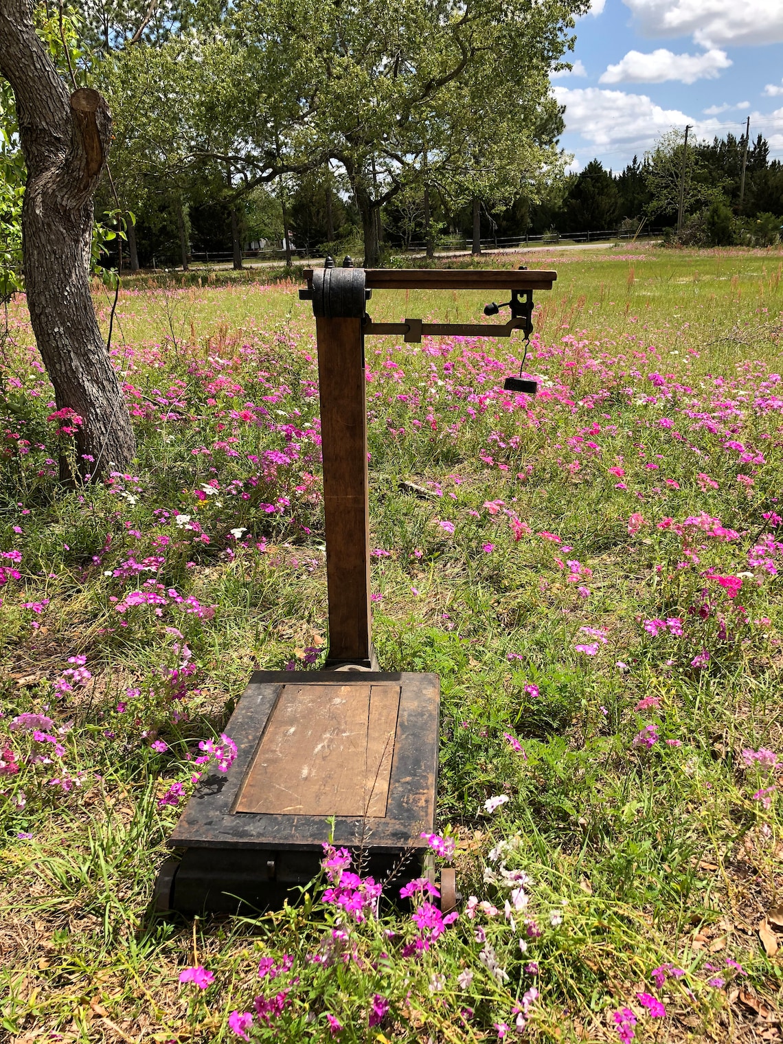Industrial Scale Antique Scale Feed Store Scale Platform - Etsy