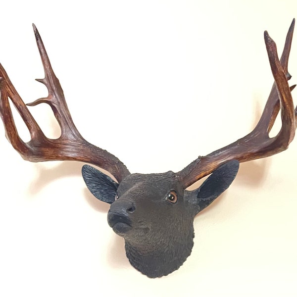 Real Mounted Deer Head - Etsy