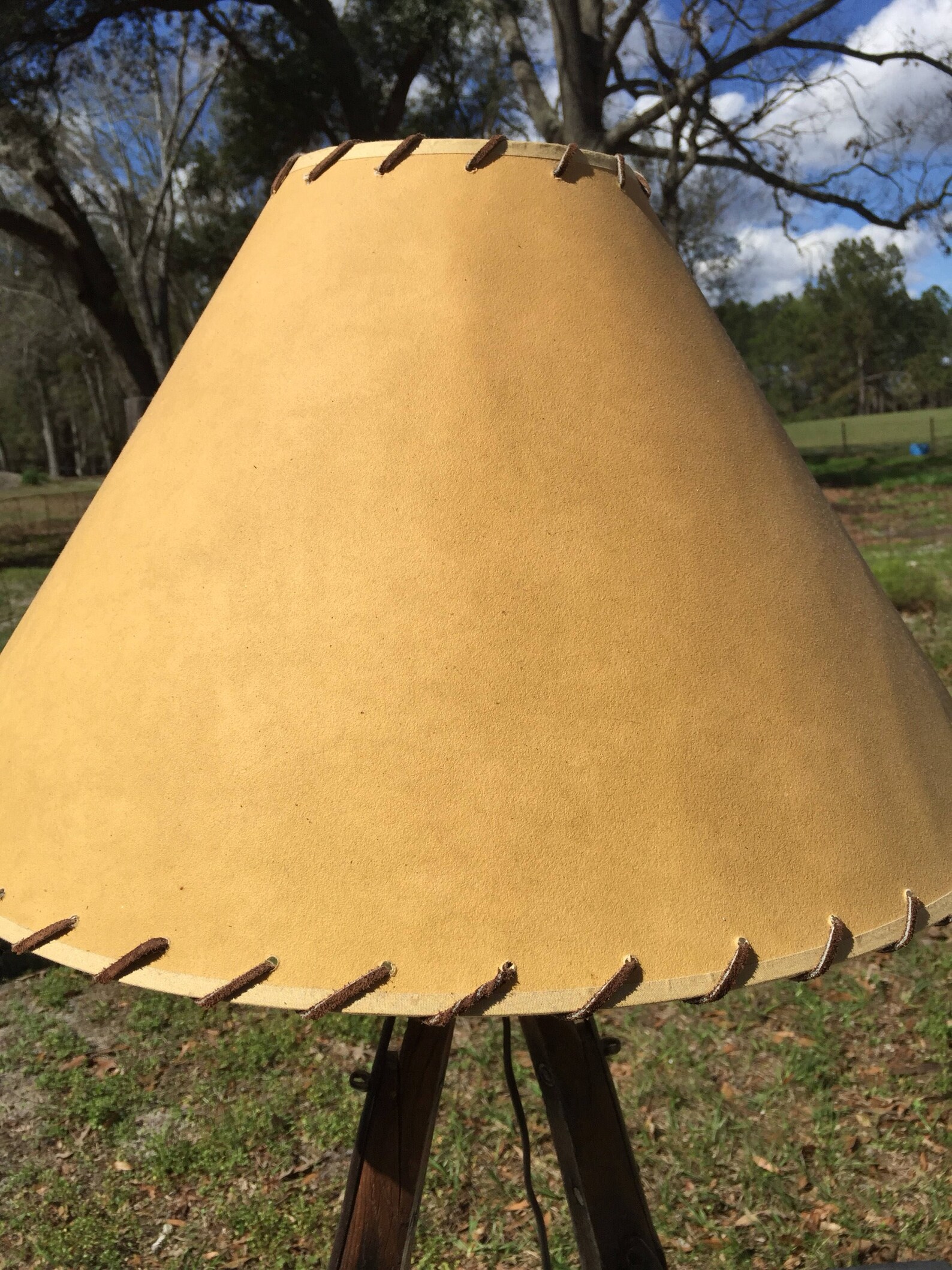 Vintage Lamp Table Lamp Antique Horse Collar Lamp Western | Etsy