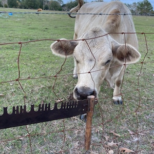 Antique Large Saw, 2 Man Saw, Lumberjack, Rusty Wall Decor, Cross Cut ...