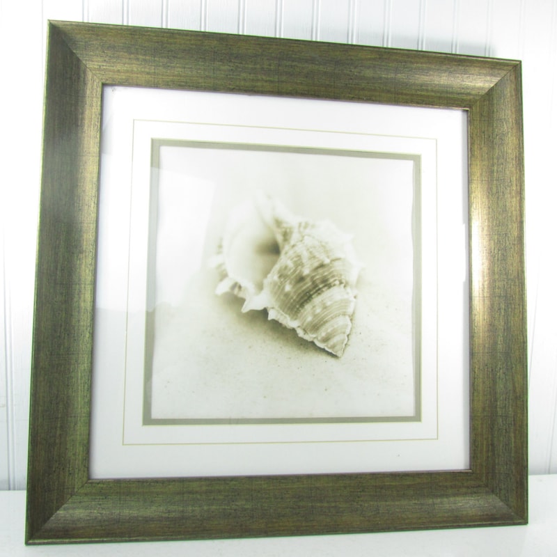 Sepia Shell Prints - Etsy