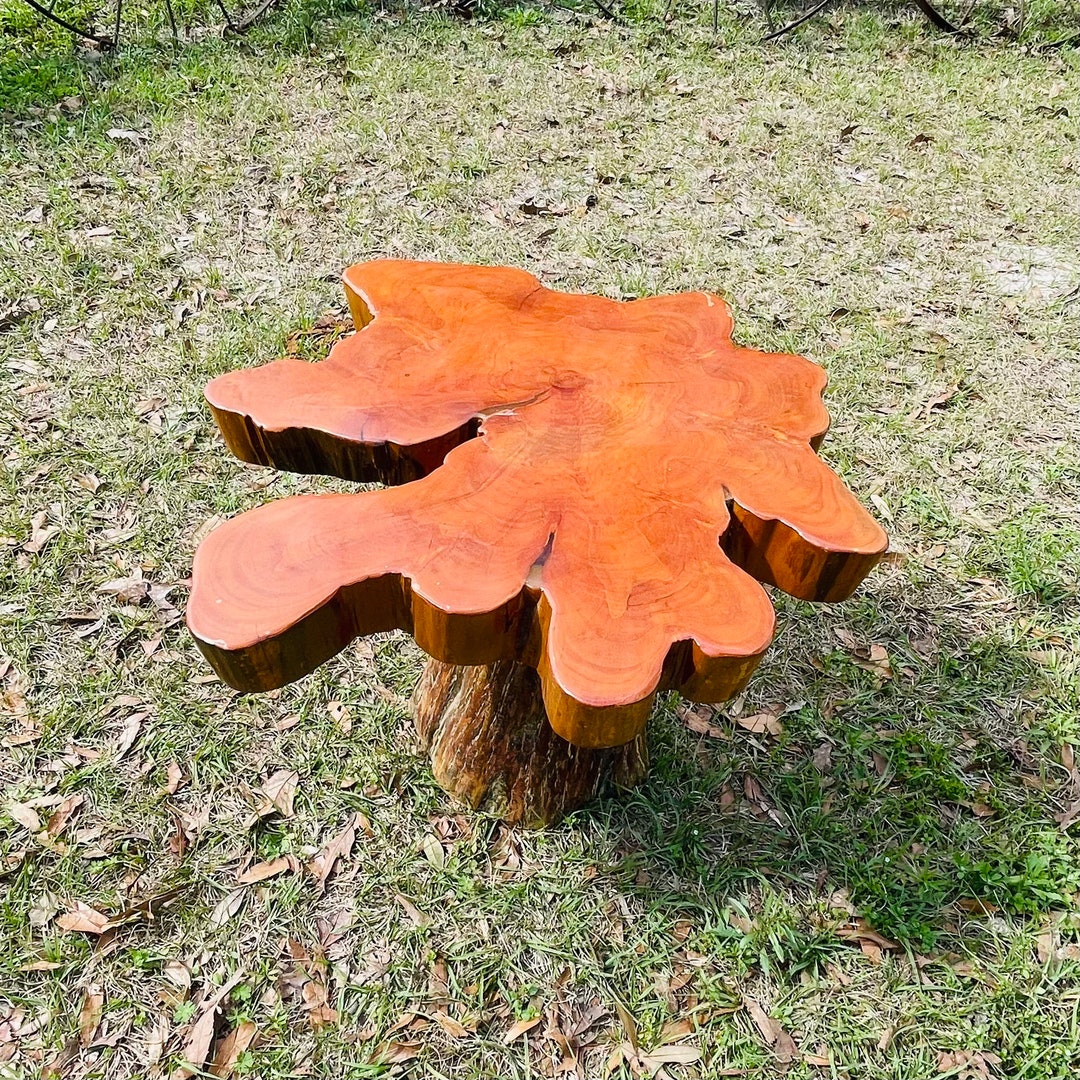 Cypress Slab Side Table, Wood End Table, Furniture, Natural Cypress ...
