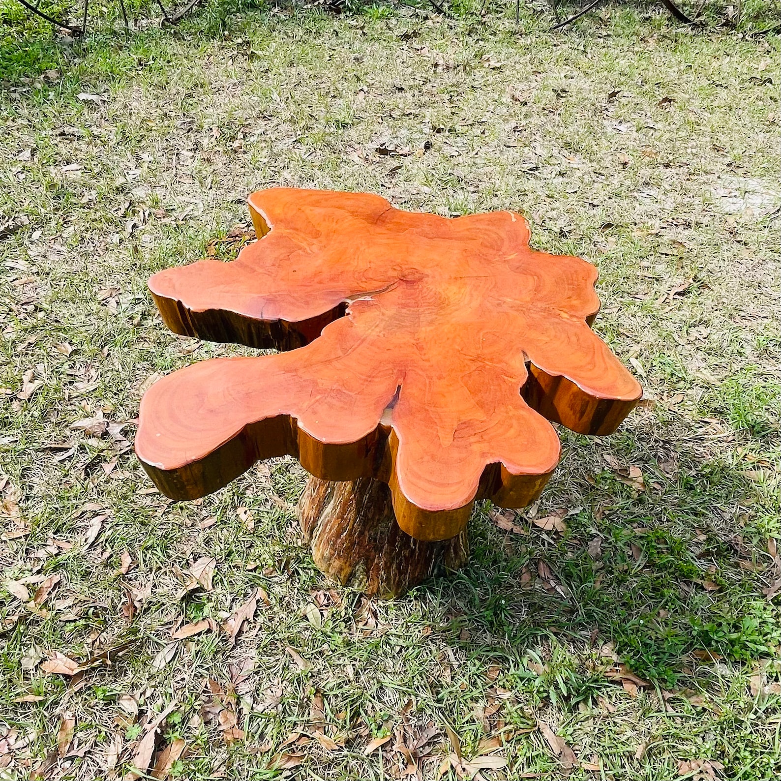 Cypress Slab Side Table Wood End Table Furniture Natural - Etsy