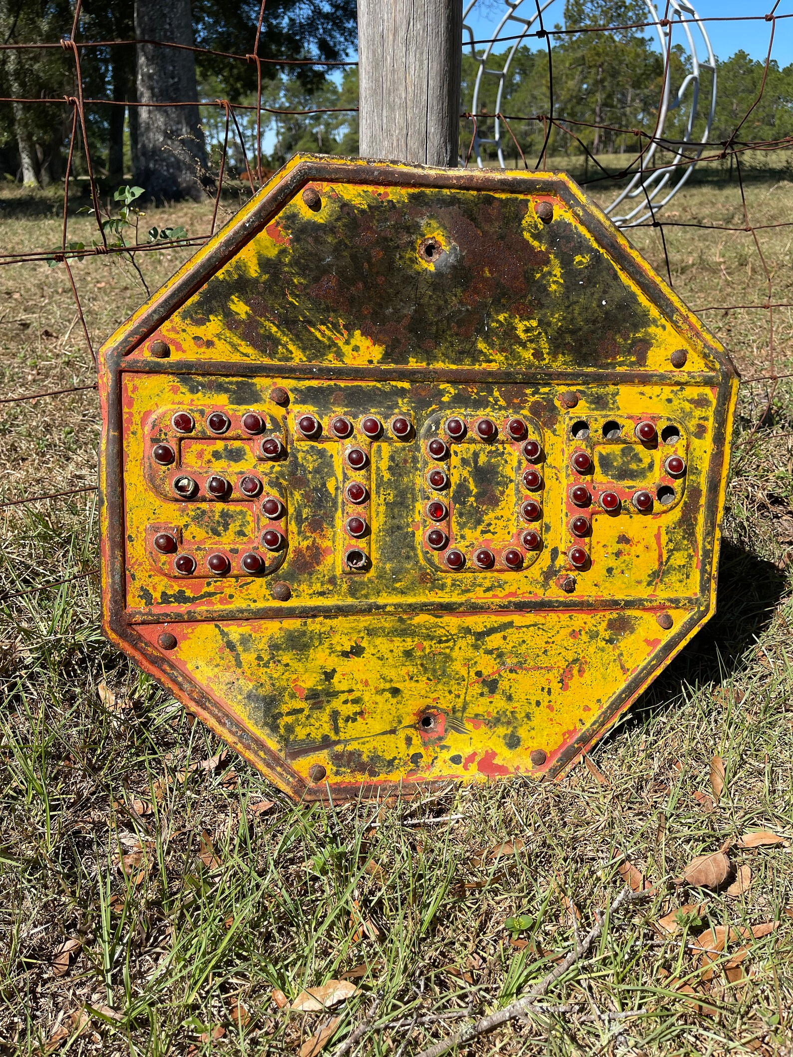 Stop Sign Cat Eye Stop Sign Metal Sign Yellow Stop Sign - Etsy