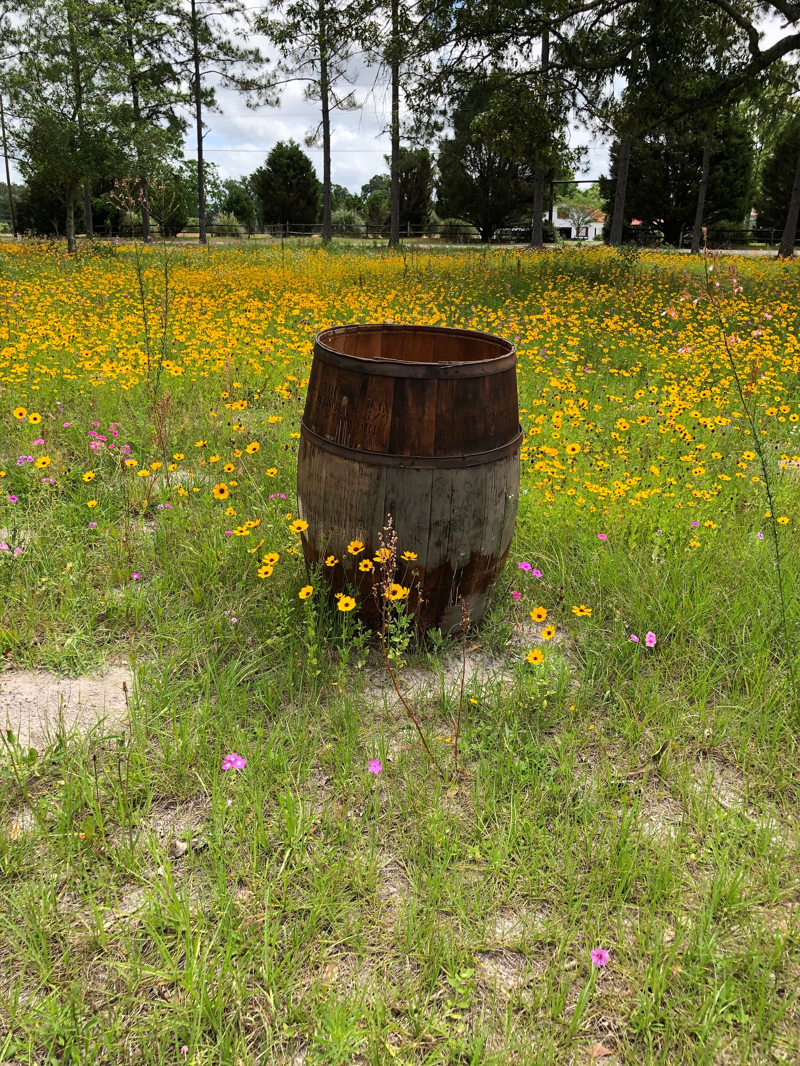 Large Antique Barrel Wood Barrel General Store Barrel - Etsy