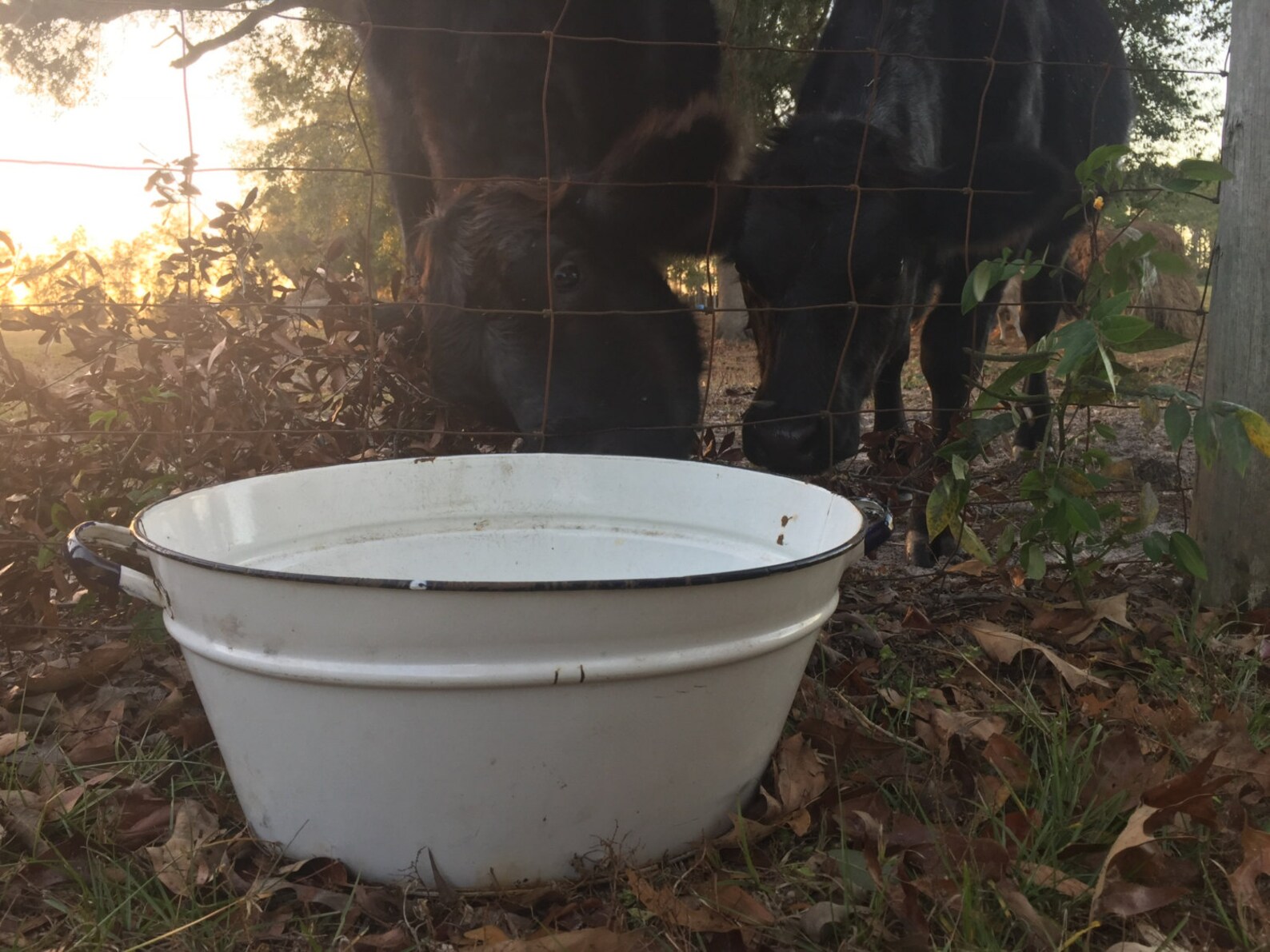 Enamel Wash Tub Enamel Pot White Enamel Wash Tub Laundry | Etsy