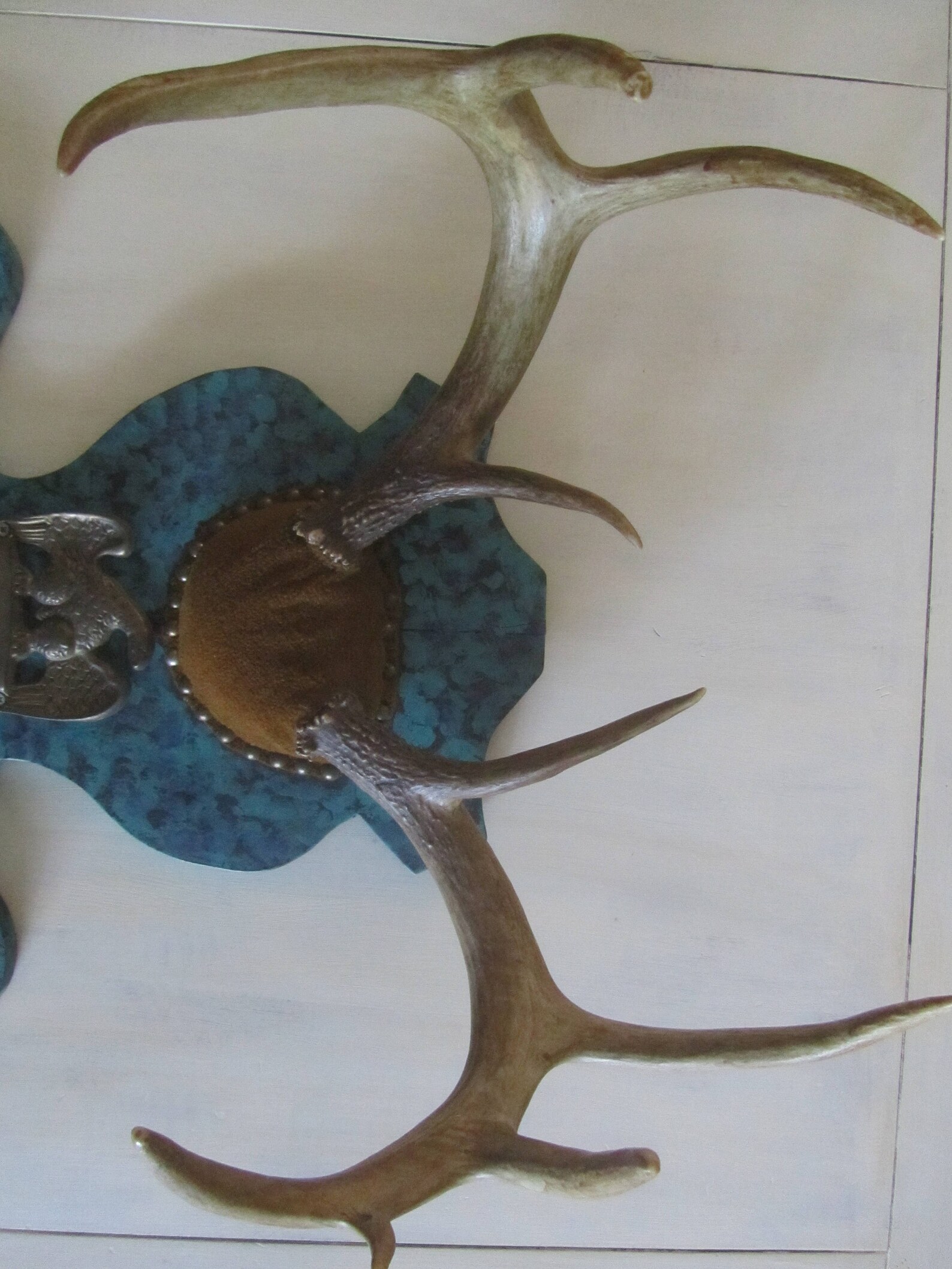 Vintage Antler Mount and Hat Rack Nine Point Deer Antler - Etsy