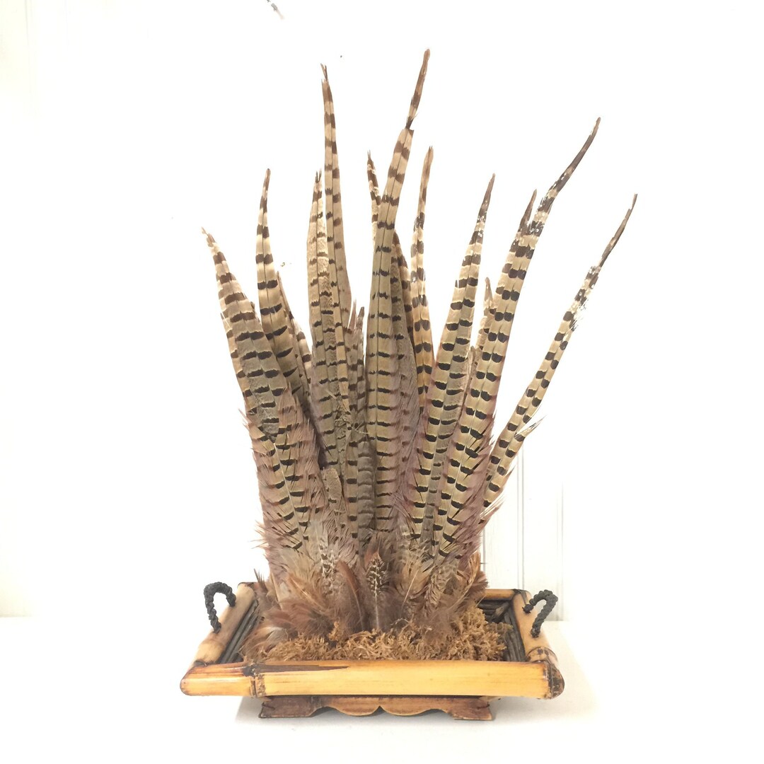 Vintage Feather Sculpture, Danish Modern Decor, Pheasant Feathers ...