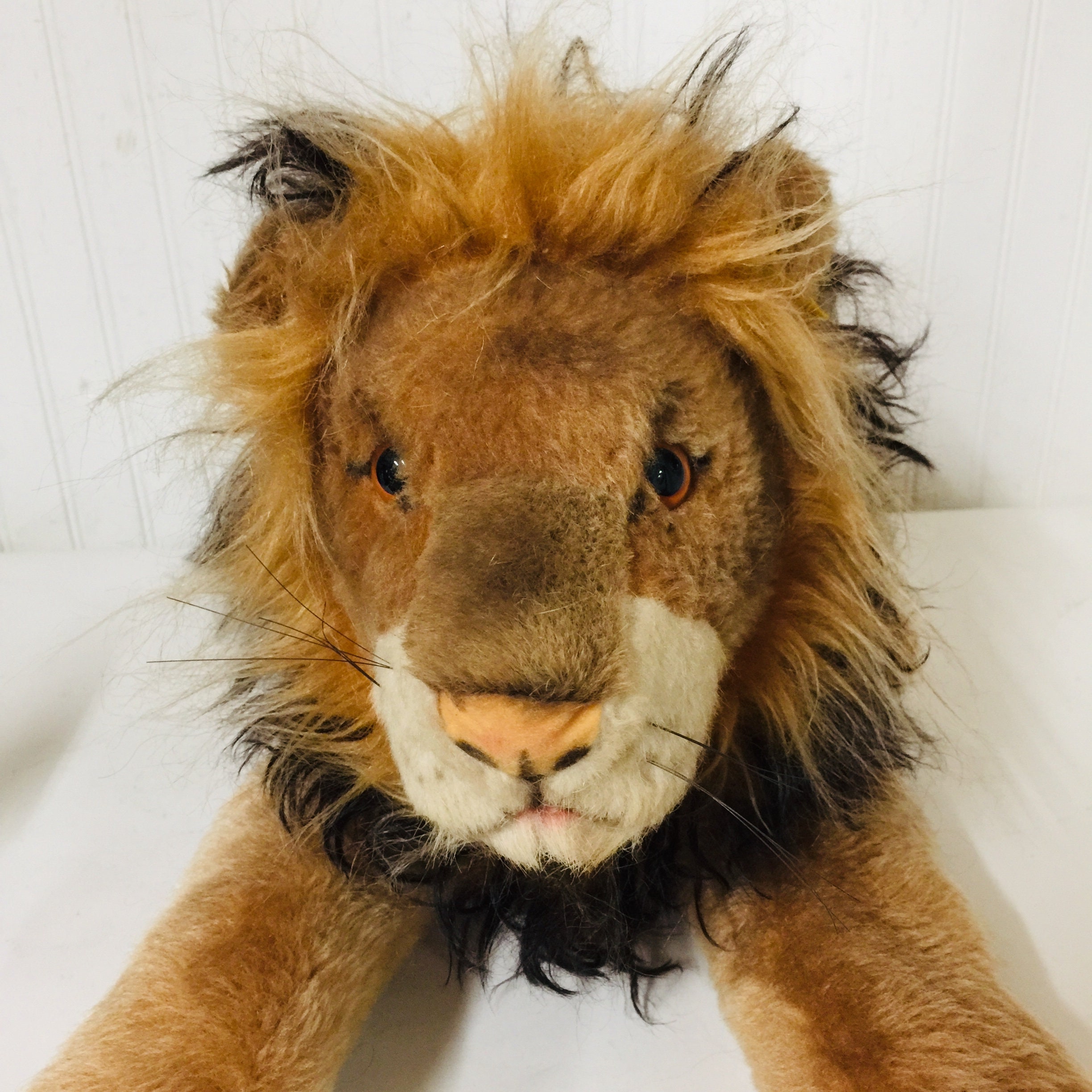 Rare German Antique Stuffed Lion