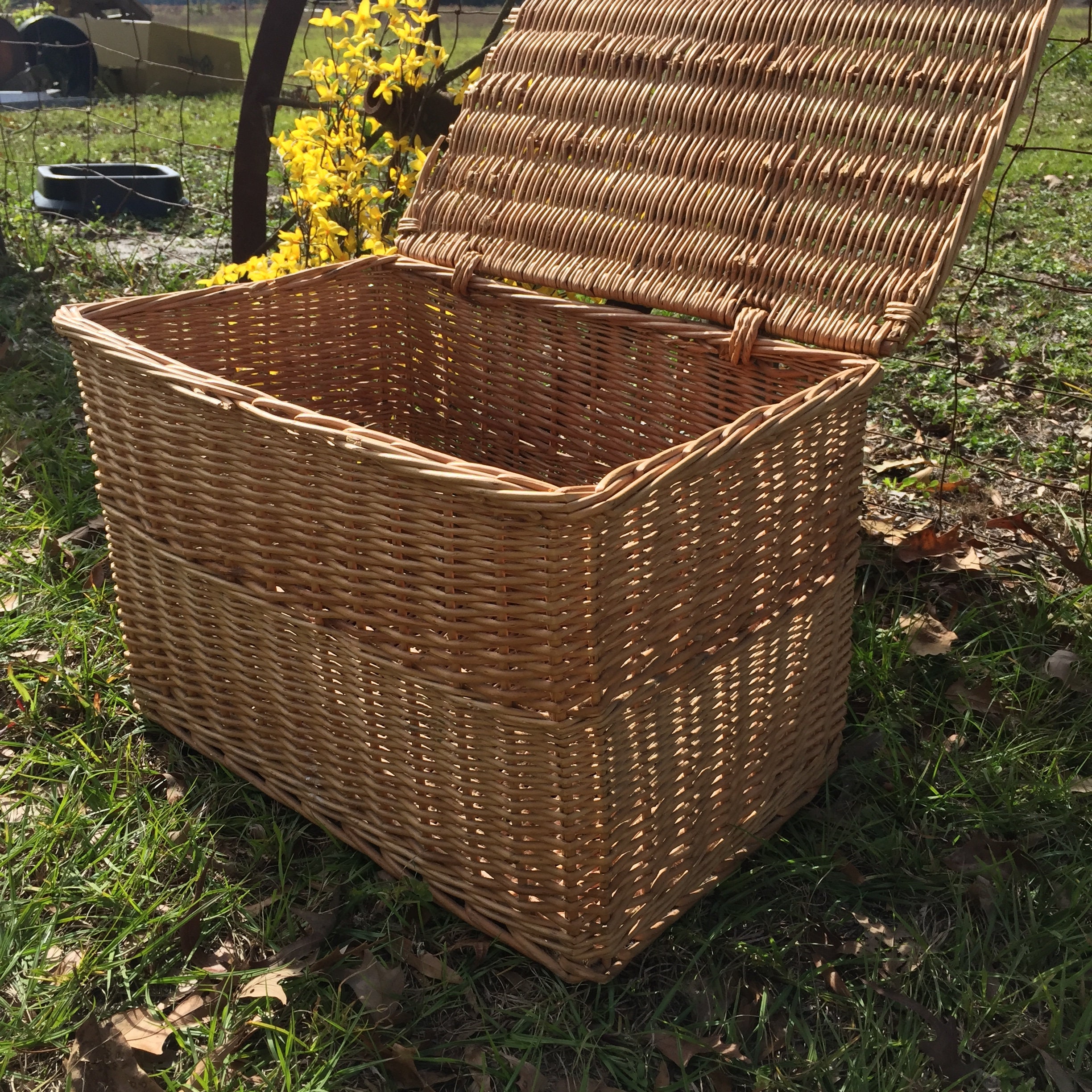 Wicker Trunkvintage Basketwicker Basketwillow | Etsy
