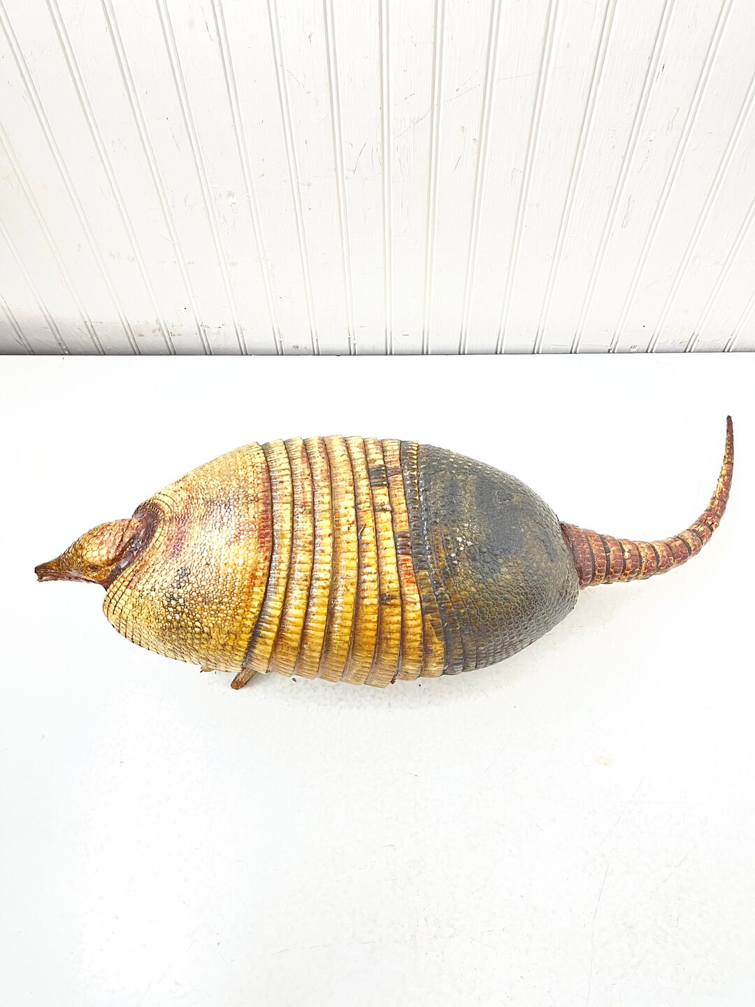 Armadillo Mount, Hand Carved Armadillo, Glyptodon Taxidermy Animal,folk ...