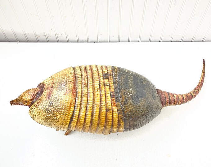 Armadillo Mount, Hand Carved Armadillo, Glyptodon Taxidermy Animal,folk ...