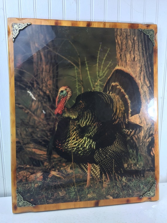 Turkey Hunting Paintings