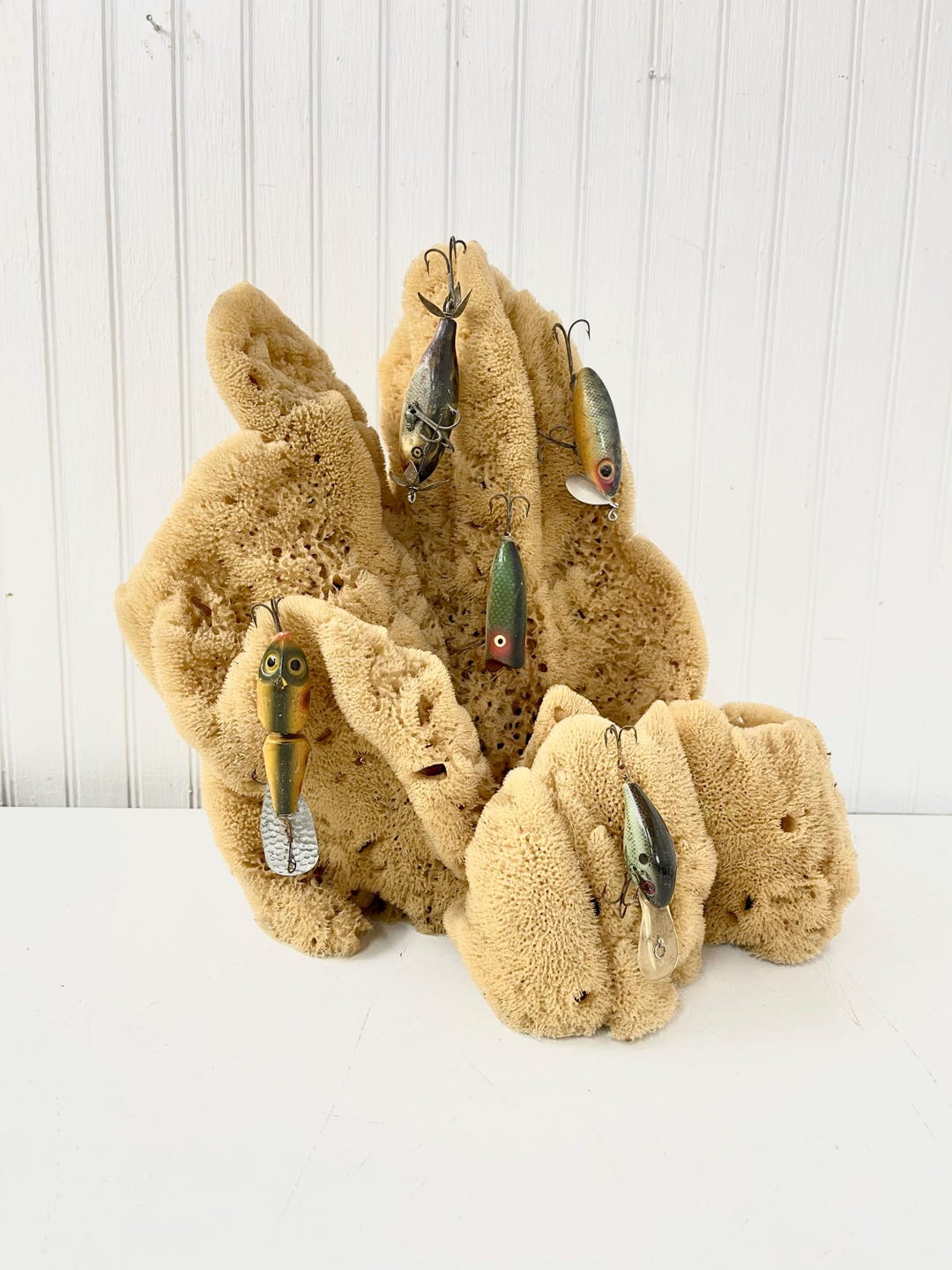 Vintage Natural Sea Sponge, Vintage Fishing Lure Collection, Fishing ...