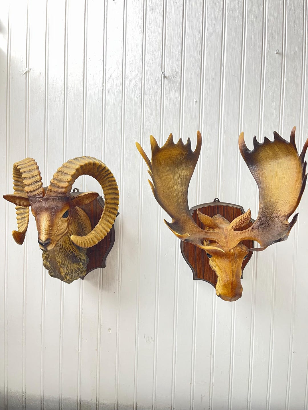 French Ram and Moose, Moose Head, Faux Taxidermy Deer, Antlers, Ram ...
