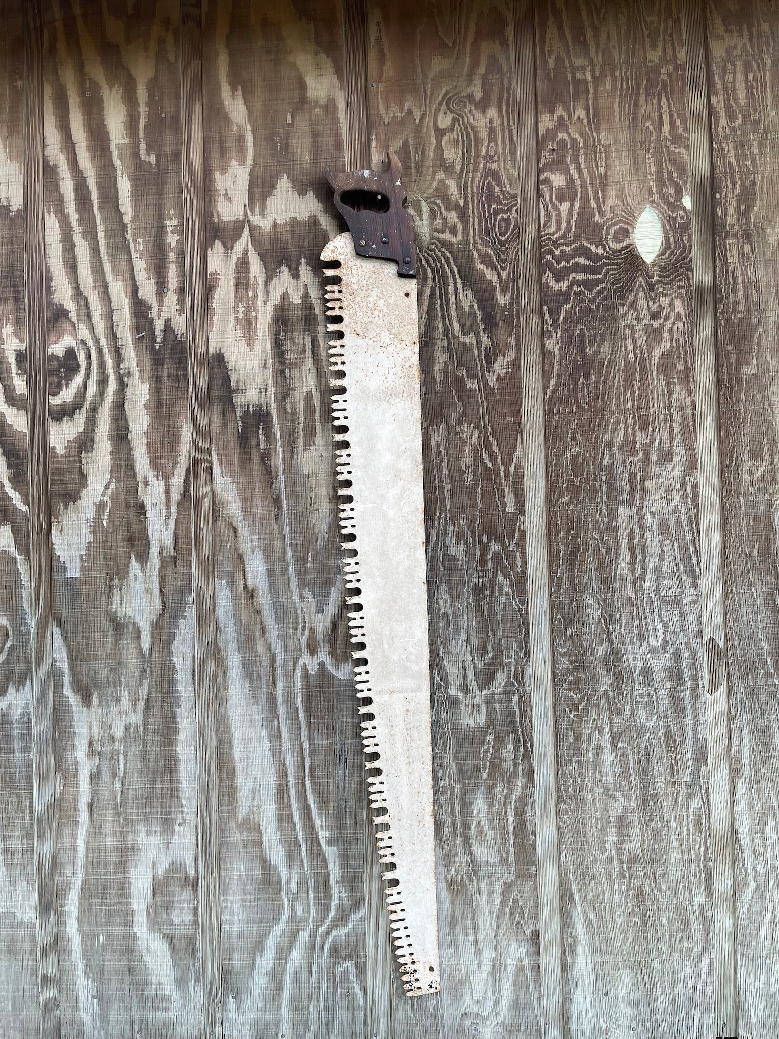 Antique Large Saw, 1 Man Saw, Lumberjack,warrented Superior Saw ...