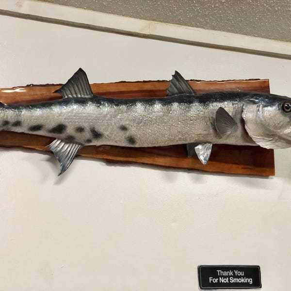 Fish Mount - Etsy