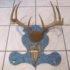 Vintage Antler Mount and Hat Rack, Nine Point Deer Antler, Wall Decor ...