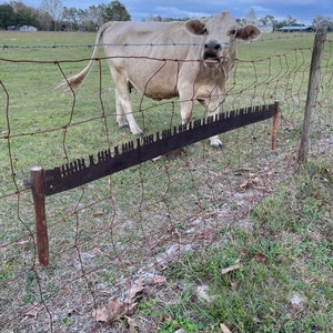 Antique Large Saw, 2 Man Saw, Lumberjack, Rusty Wall Decor, Cross Cut ...