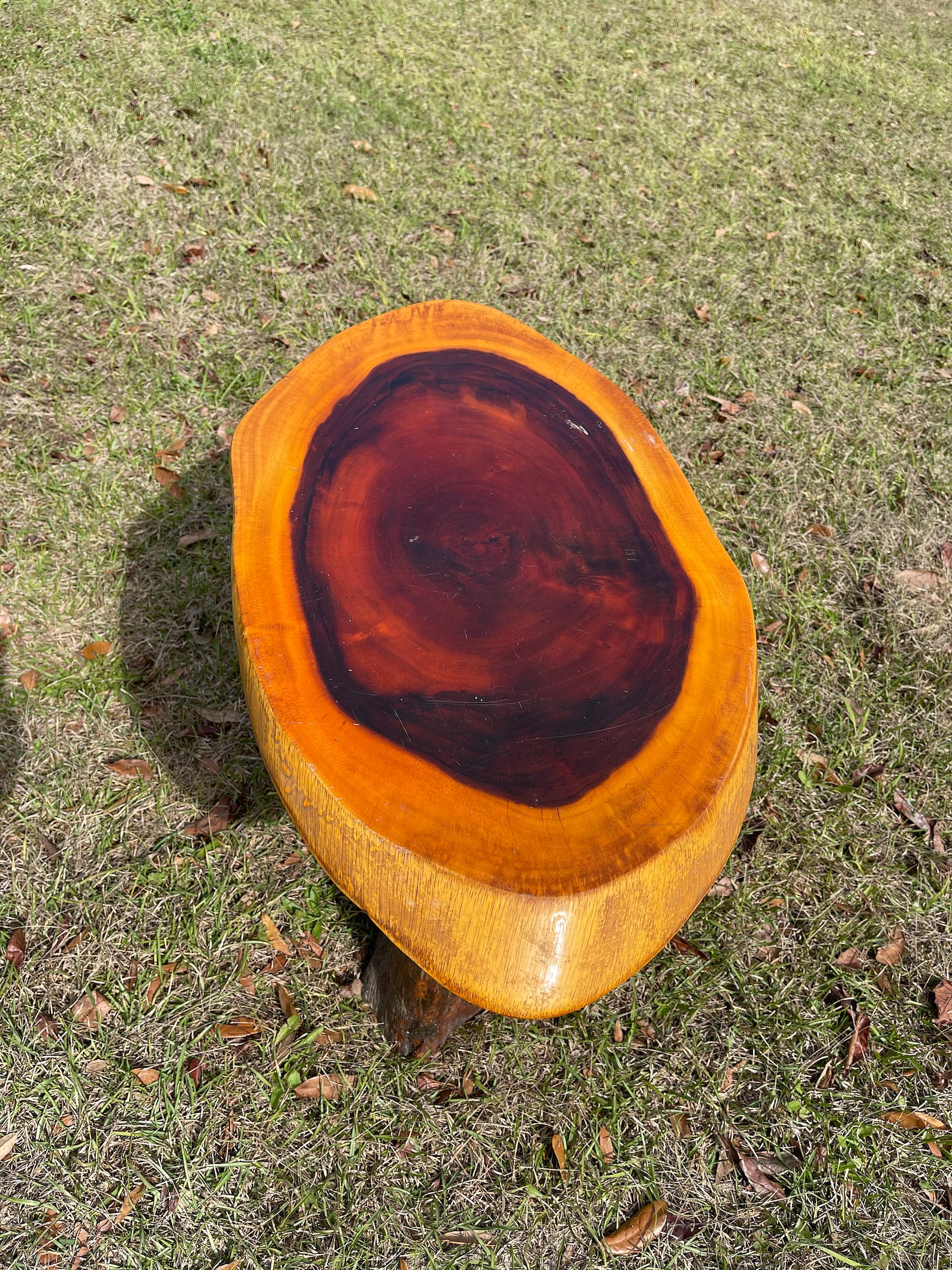 Cypress Slab Side Table Wood End Table Furniture Natural | Etsy