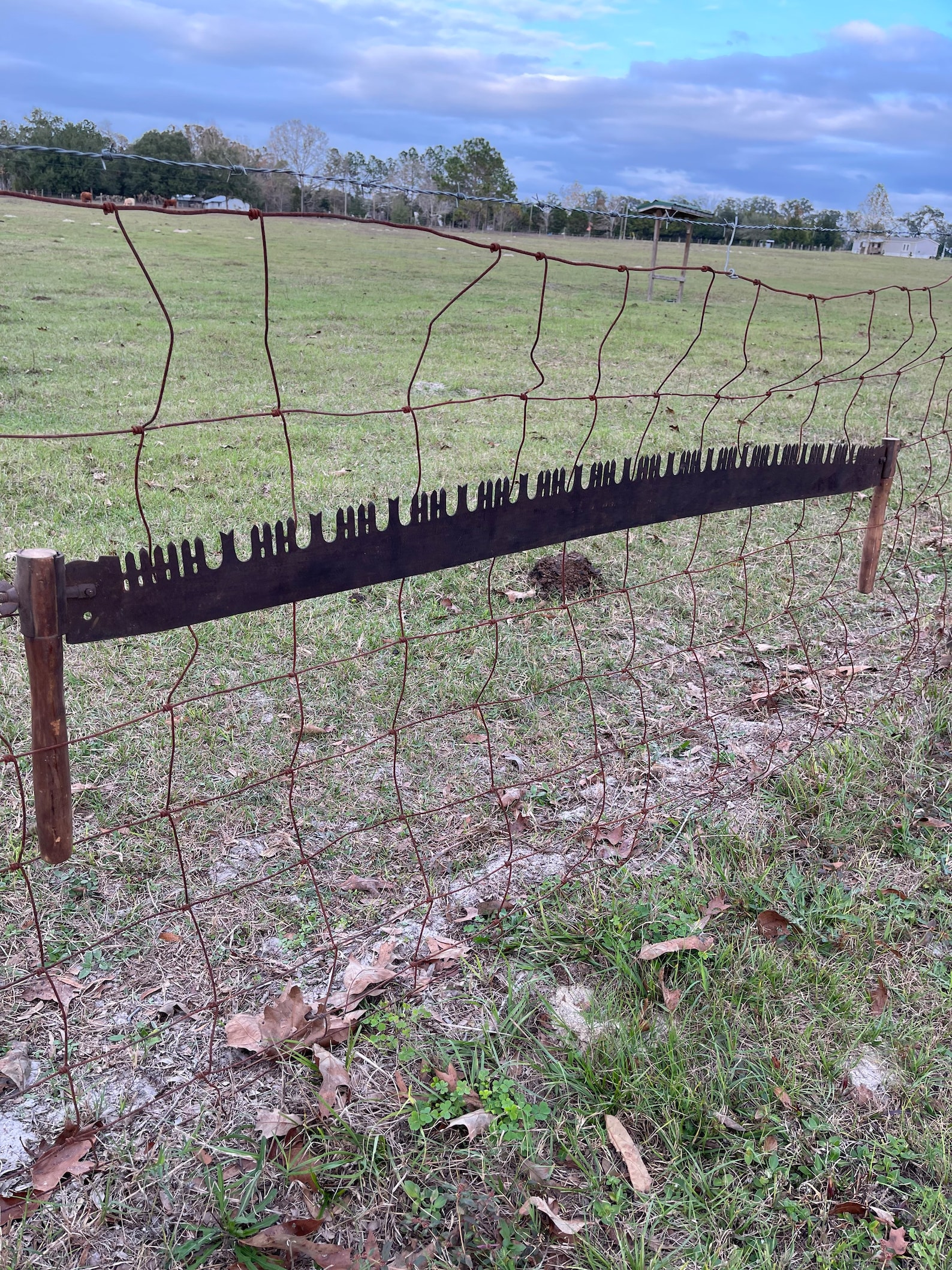 Antique Large Saw, 2 Man Saw, Lumberjack, Rusty Wall Decor, Cross Cut ...