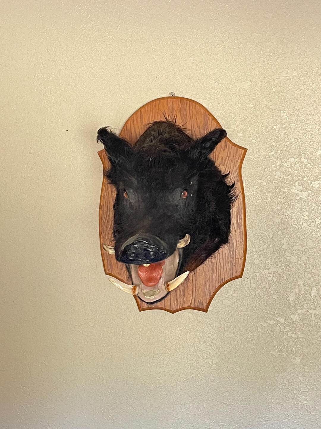Wild Boar Taxidermy, Wild Pig Mount, Vintage Taxidermy, Wild Hog Mount ...