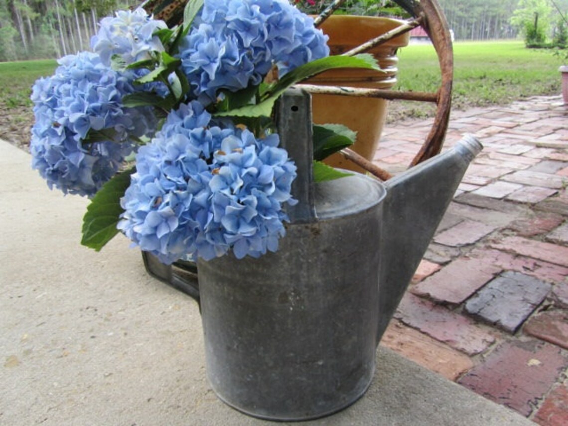 VINTAGE WATERING CAN metal can rustic wedding farmhouse | Etsy