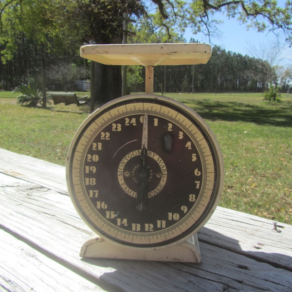 White Kitchen Scale - Etsy