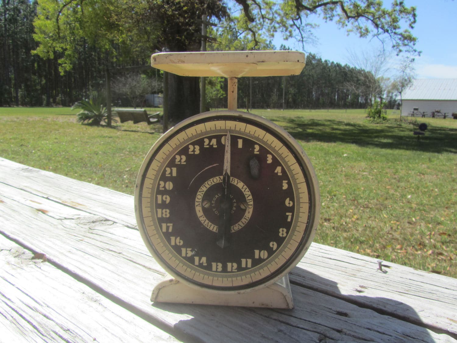 Montgomery Ward Family Scale, Utility Scale, Farmhouse Decor, Kitchen ...