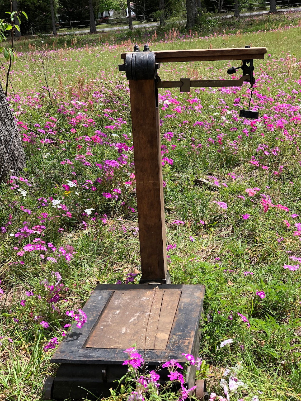 Industrial Scale, Antique Scale, Feed Store Scale, Platform Scale ...