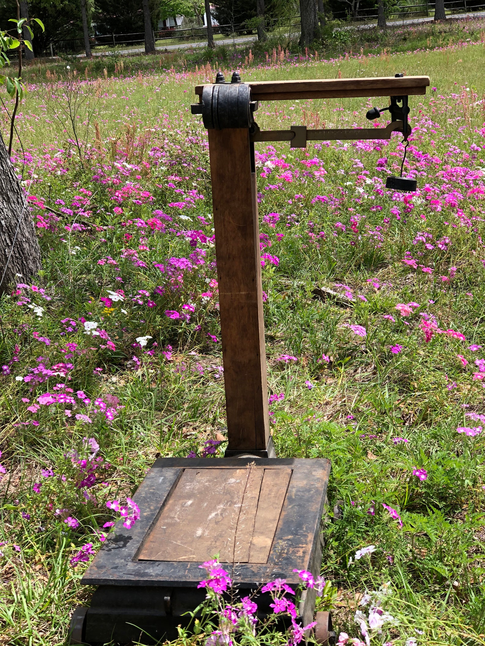 Industrial Scale, Antique Scale, Feed Store Scale, Platform Scale ...