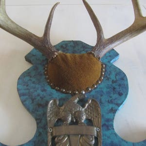 Vintage Antler Mount and Hat Rack, Nine Point Deer Antler, Wall Decor ...